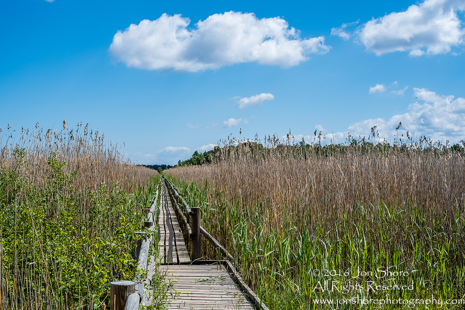 wooden-walkway-kemeri-park-sm-4679 | Self-Awareness Therapy, Meditation ...